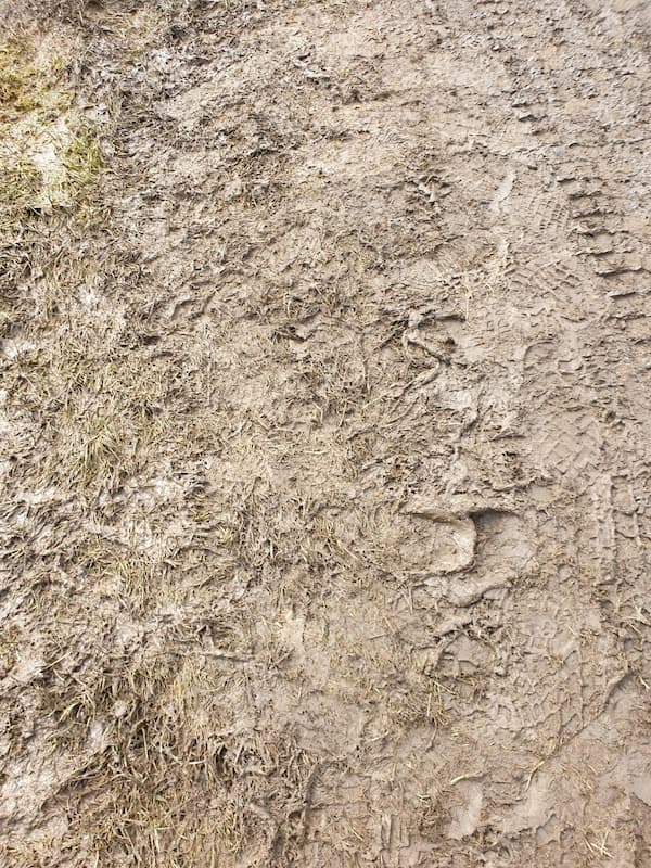 Mud, Glorious Mud – Routes of Happiness